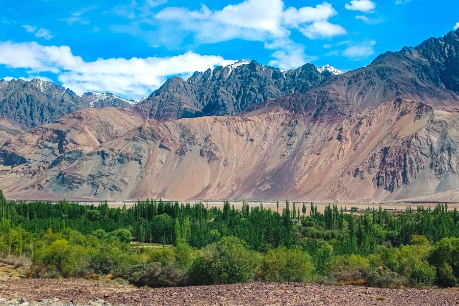 Aryan Valley - Zanskar Ladakh Trail